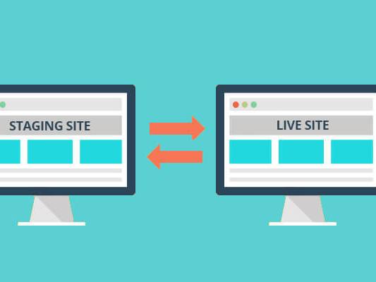 How to setup staging site (staging environment) to safely do updates ...